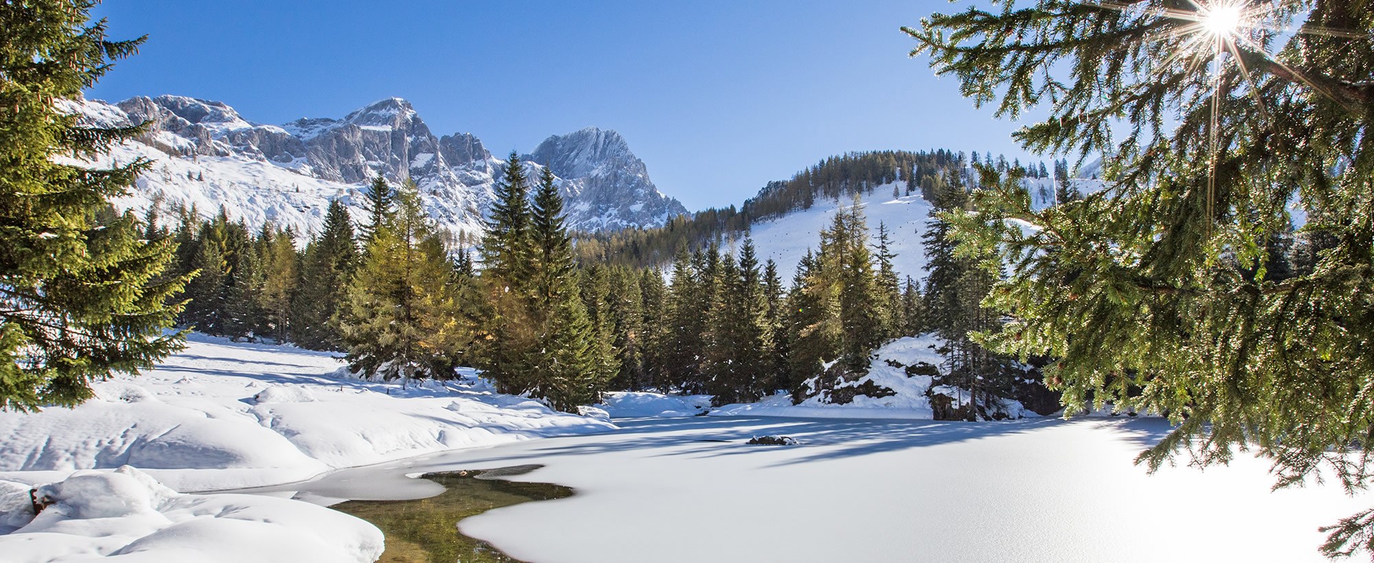 Filzmoos Salzburgerland, Das Gertraud Filzmoos